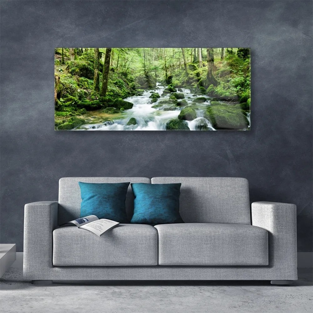 Plexisklo-obraz Les Potok Vodopády Řeka 125x50 cm