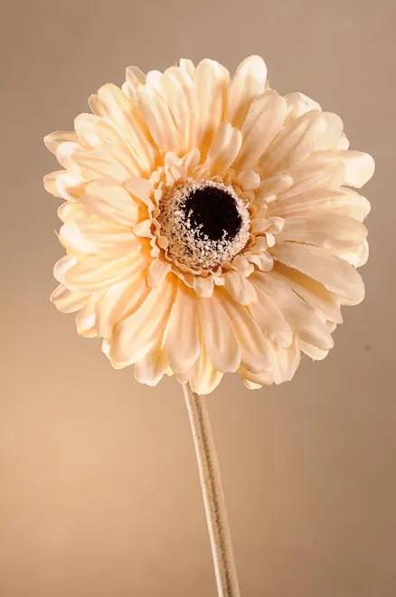 Paramit GERBERA Aranžovací květina 53 cm krémová