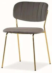 Židle CARLO zlatá/šedá