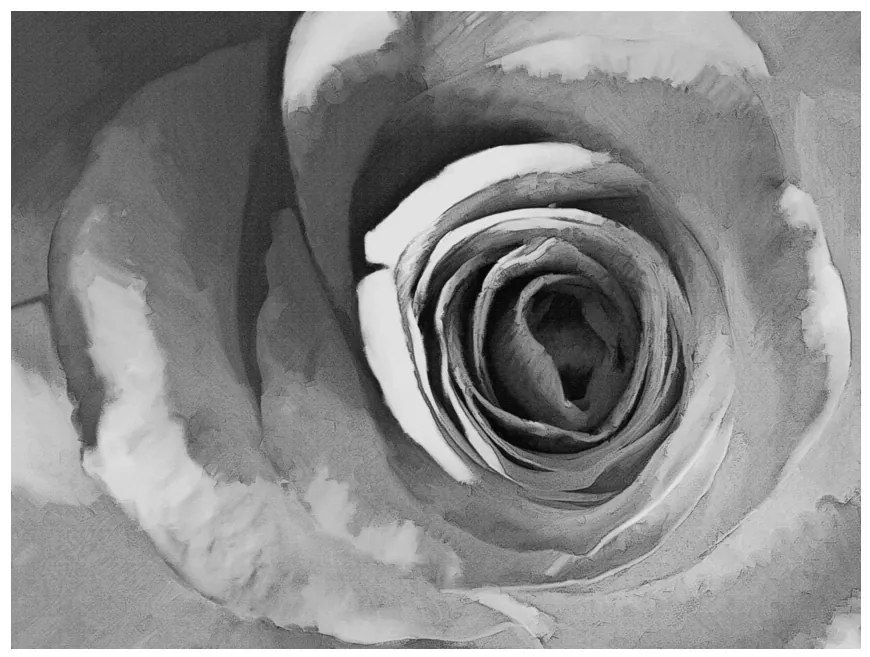 Fototapeta - Paper rose