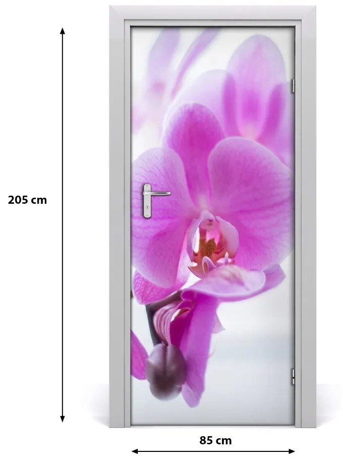 Fototapeta na dveře Růžová orchidej 85x205 cm