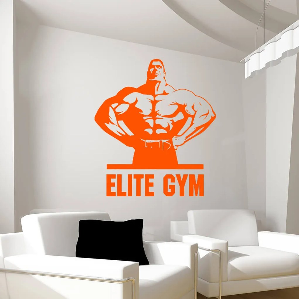 Živá Zeď Samolepka na zeď Elite Gym Barva: černá