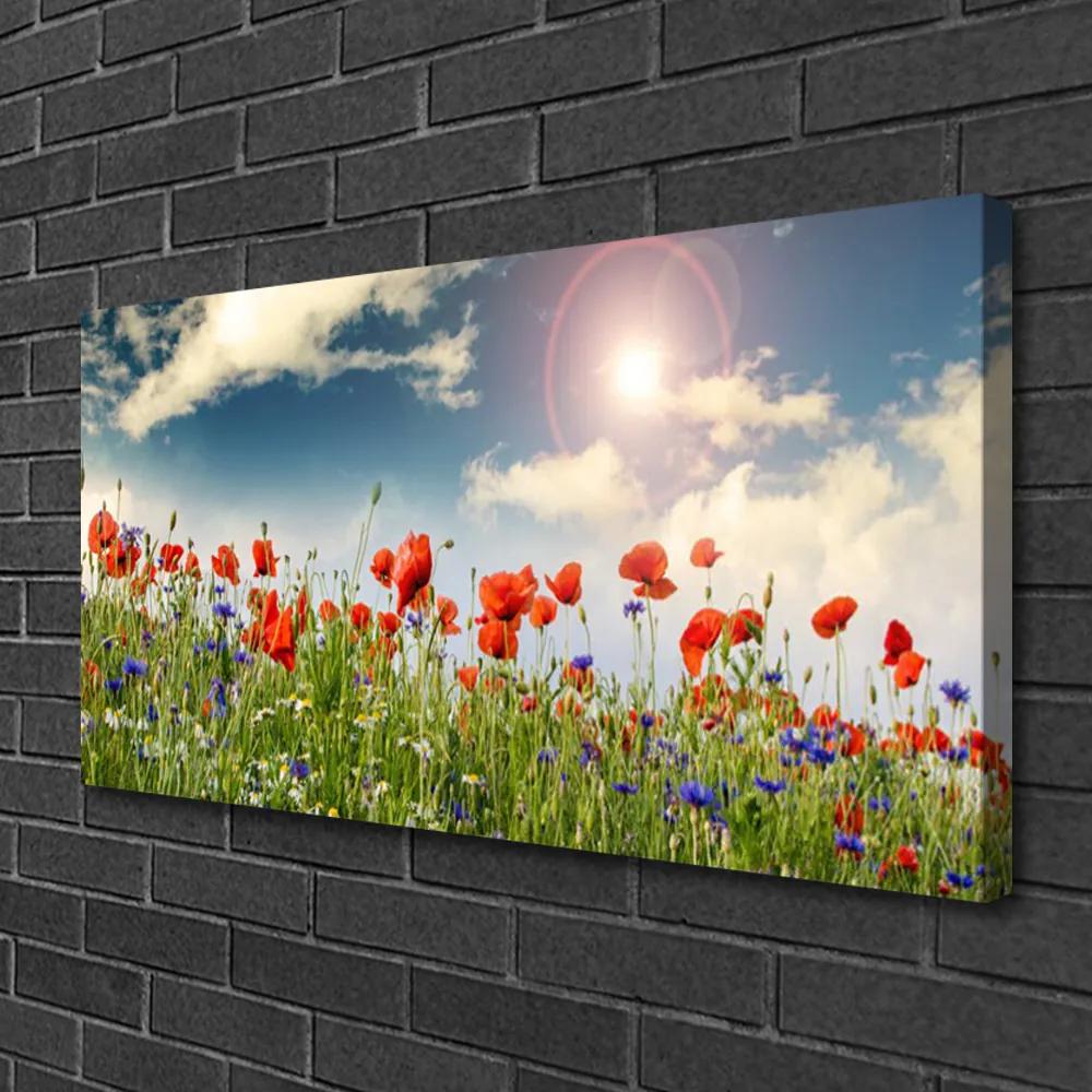 Obraz na plátně Louka Květiny Slunce Příroda 140x70 cm