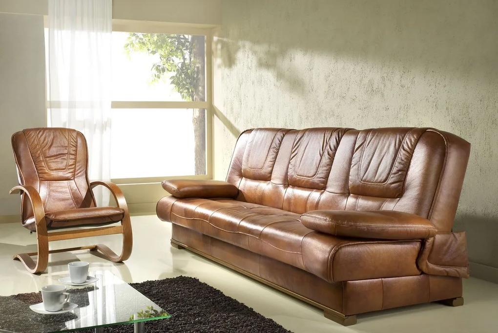 Casarredo - Komfort nábytek Rozkládací sedací souprava ERIKA 3+1 s úložným prostorem, kůže | Vyberte si moření dřeva:: dub sonoma,potah: kůže K-18