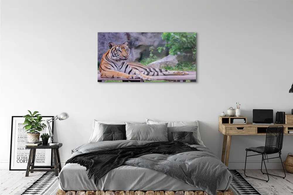 akrylový obraz Tiger v zoo 125x50 cm