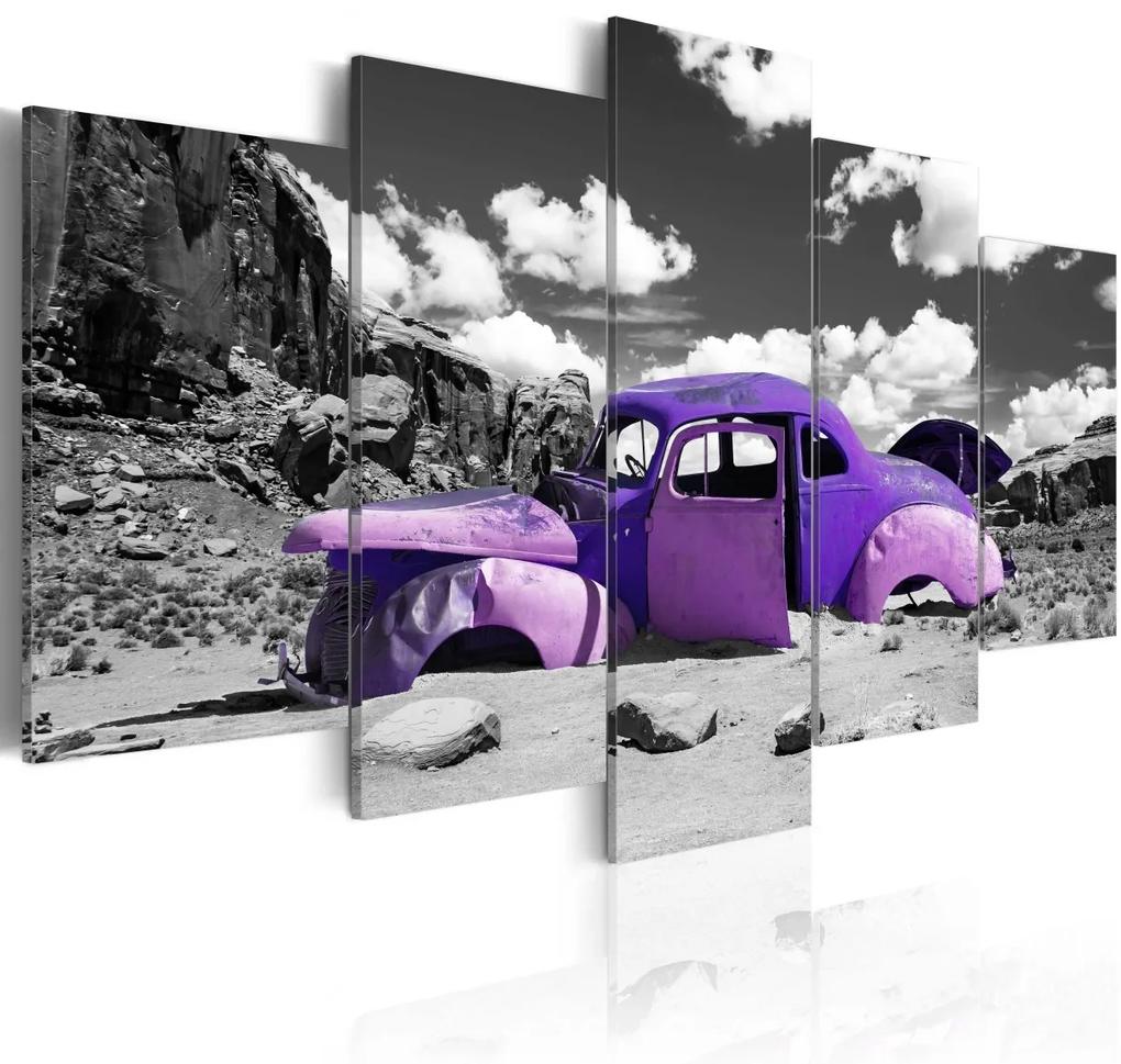 Obraz fialový vrak + háčky a hřebíčky ZDARMA Velikost (šířka x výška): 200x100 cm