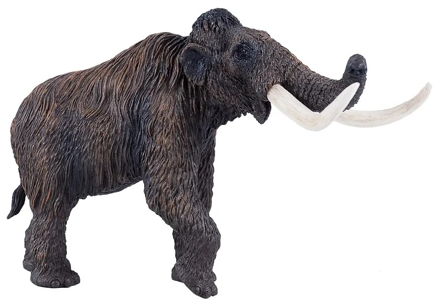 Mojo Mamut srstnatý