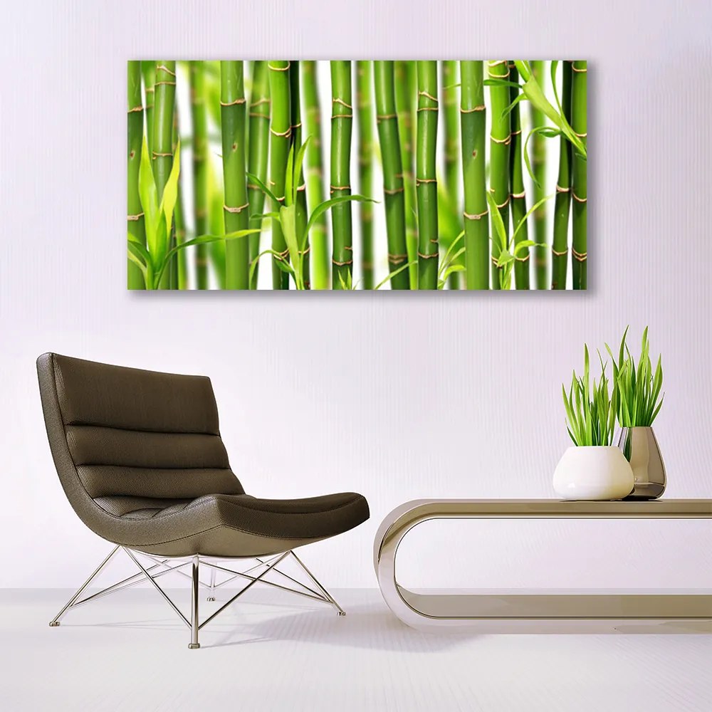 Plexisklo-obraz Bambusové Výhonky Listy Bambus 120x60 cm