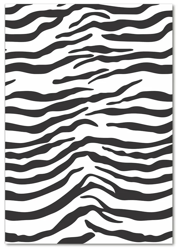 Wallmuralia Foto obraz akrylový na stěnu Zebra pozadí 70x100 cm