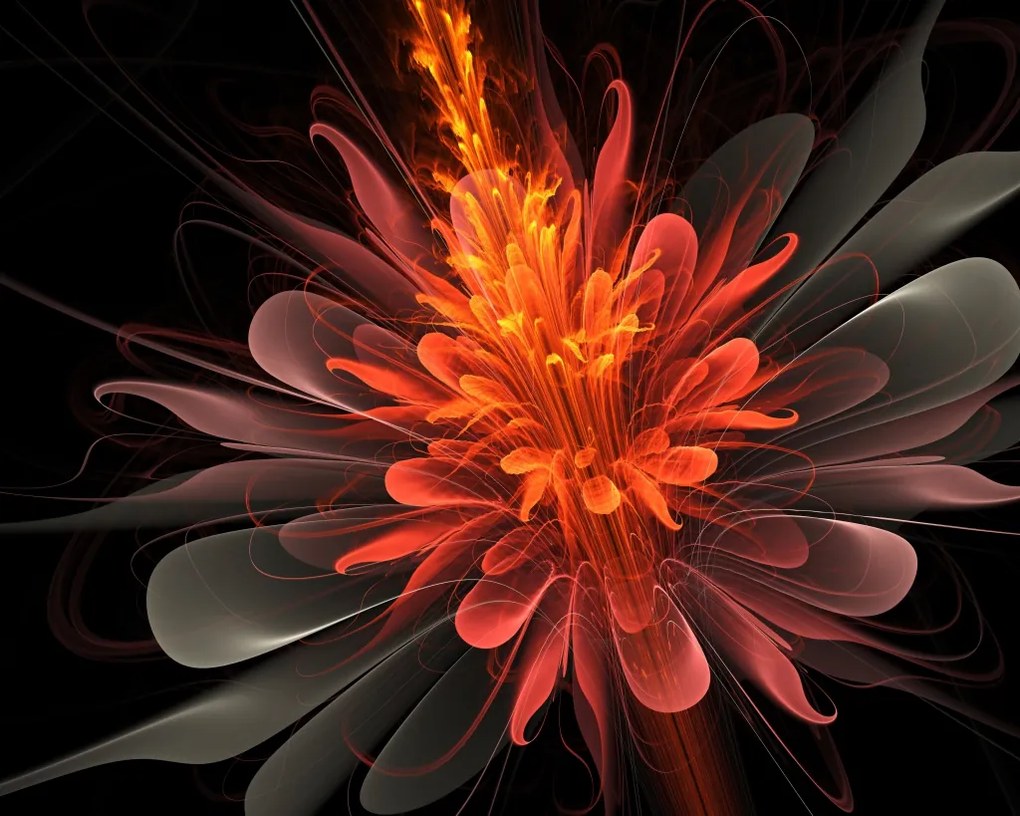Obraz abstraktní květ Velikost (šířka x výška): 120x80 cm