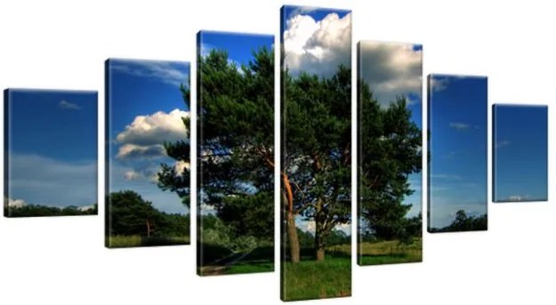 Tištěný obraz Zelené silné stromy 210x100cm 1471A_7A