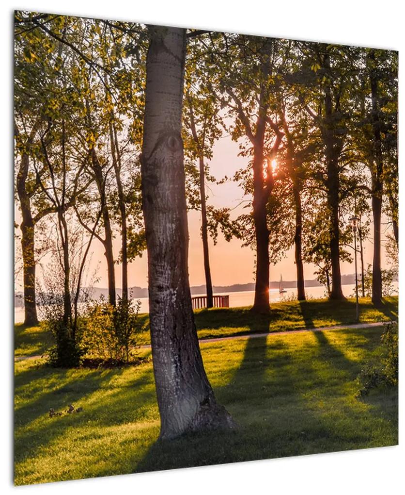 Obraz stromů u jezera (70x70 cm), 40 dalších rozměrů