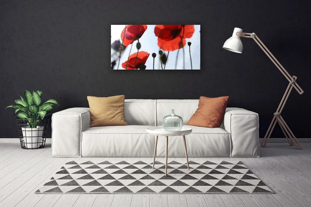 Obraz na plátně Máky Rostlina 140x70 cm