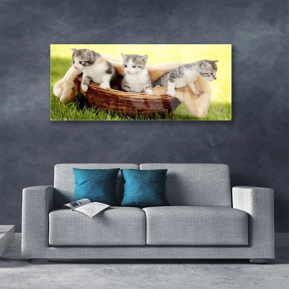 akrylový obraz Kočky Zvířata 125x50 cm
