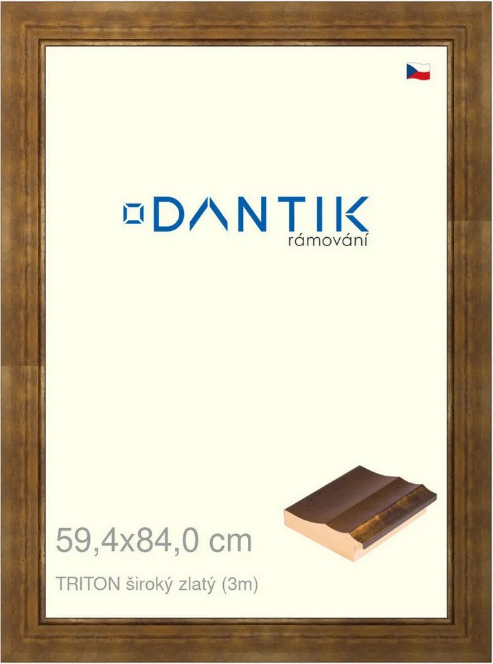 DANTIK rámeček 59,4x84 | TRITON široký zlatý (Plexi Čiré)