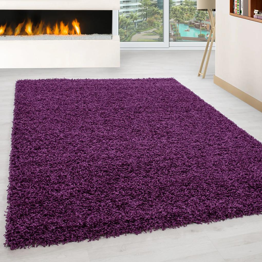 Ayyildiz koberce Kusový koberec Life Shaggy 1500 lila Rozměry koberců: 240x340