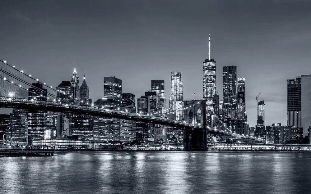 Vícedílný obraz Panorama New Yorku V Noci Nedostatek Nedostatek Plátno Canvas 160x100