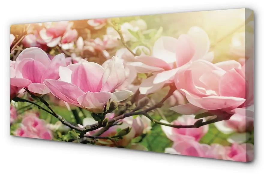 Obrazy na plátně květiny 100x50cm