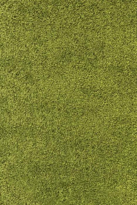 Vopi | Kusový koberec Life Shaggy 1500 green - Průměr 200 cm