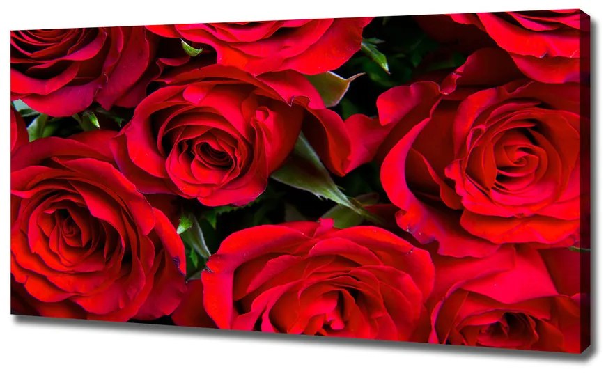 Wallmuralia Foto obraz na plátně Červené růže 120x60 cm