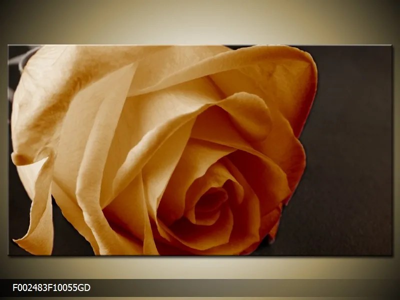 Obraz oranžové růže (), 40 dalších rozměrů