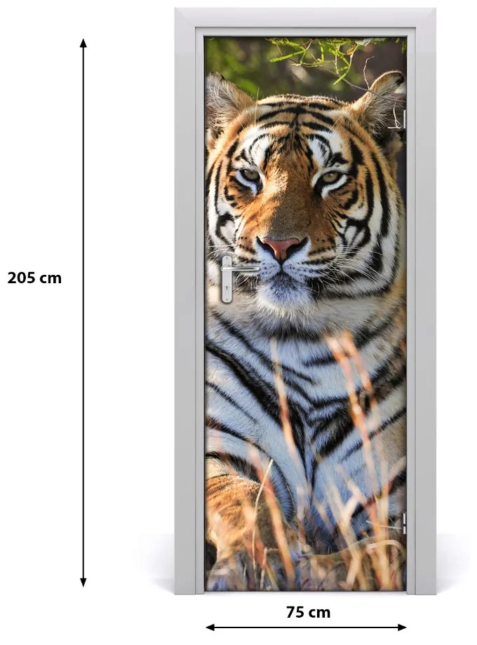 Samolepící fototapeta na dveře Tygr 75x205 cm