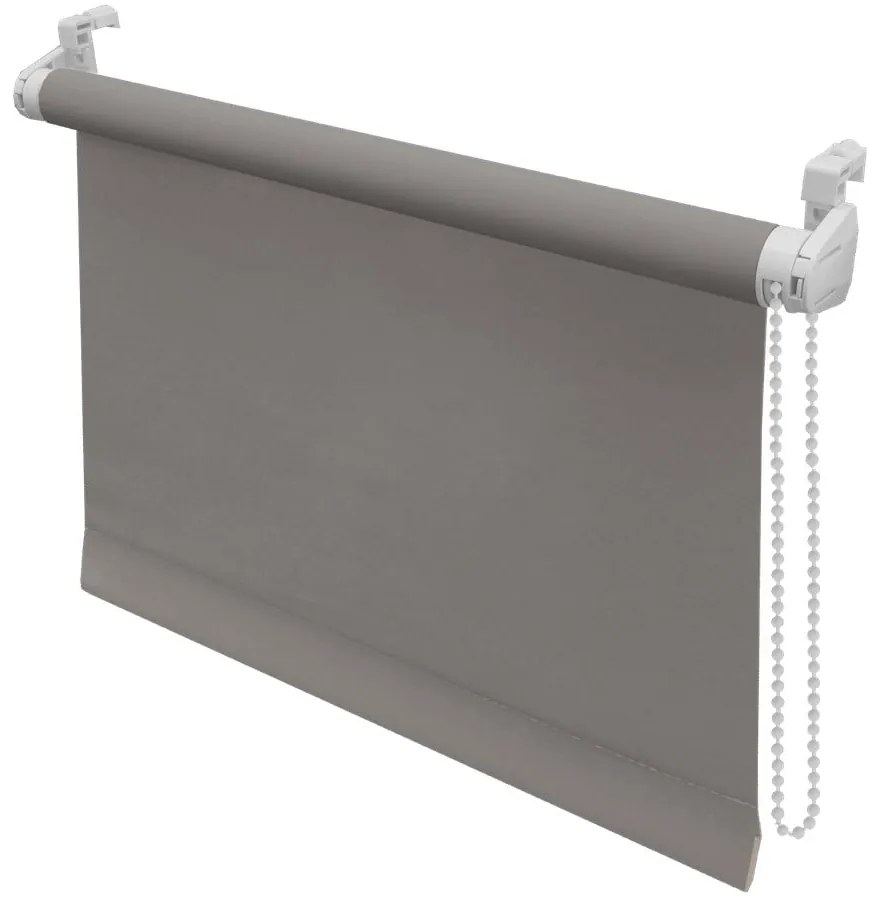 Tmavě šedá roleta 57x150 cm Mini Relax – Gardinia