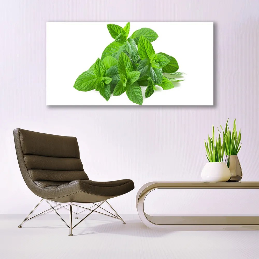 Plexisklo-obraz Máta Rostlina Příroda 120x60 cm