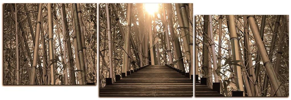 Obraz na plátně - Dřevěná promenáda v bambusovém lese - panoráma 5172FE (120x40 cm)