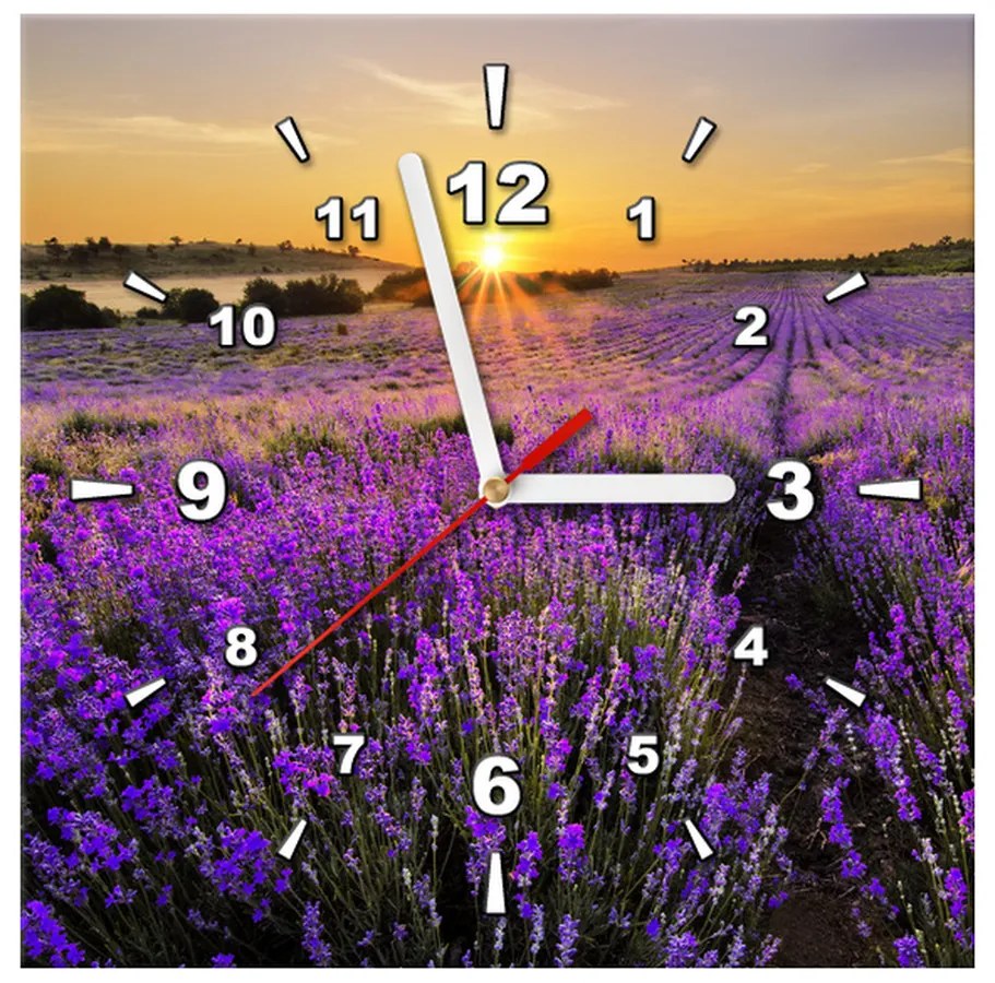 Gario Obraz s hodinami Levandulové pole Rozměry: 100 x 40 cm