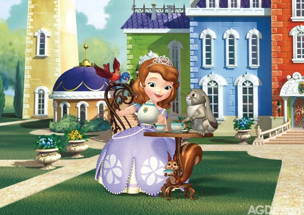 Plakát dětský premium collection vliesový FTDNM 5234 Disney Sofie 160 x 110 cm - 1 dílný