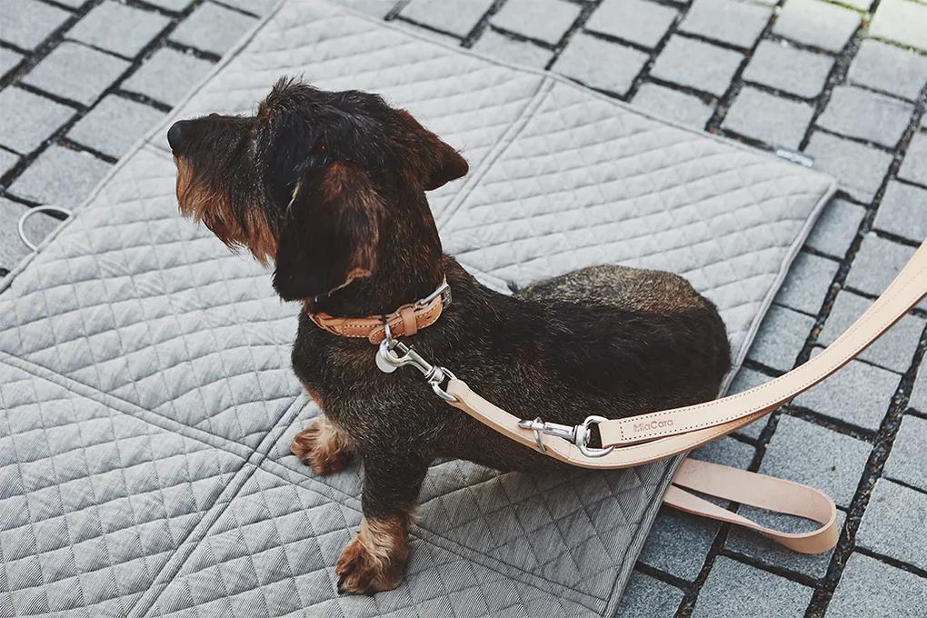 Kožený obojek pro psa MiaCara Bergamo pletená natural Velikost: L