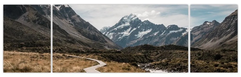 Obraz - Chodník v údolí hory Mt. Cook (170x50 cm)