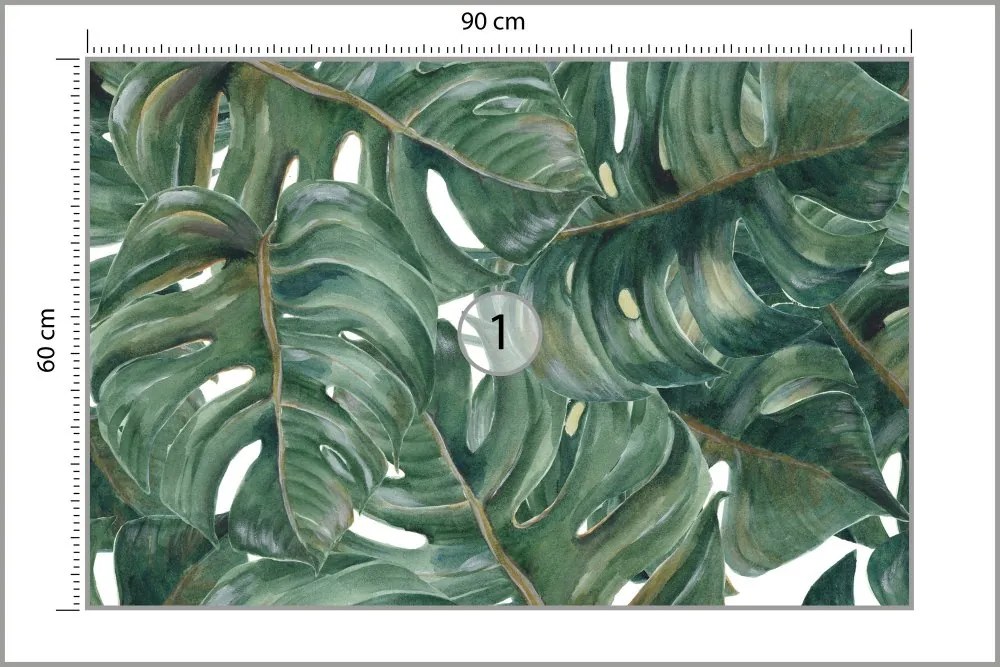 Fototapeta Akvarel Listy Monstera Omyvatelný vlies 135x90