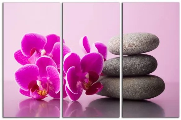 Obraz Orchidej a zen kameny C4024BO