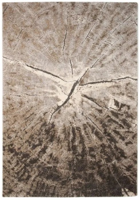 Vopi | Kusový koberec Malaga K11546-01 beige grey - 200 x 290 cm