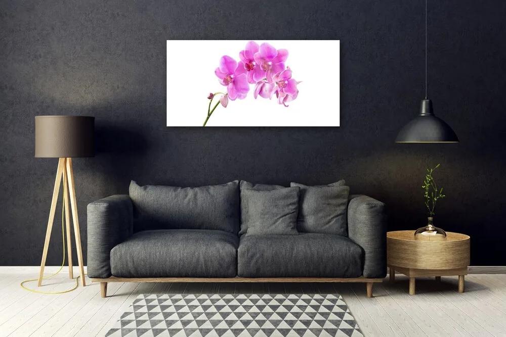 Obraz na skle Vstavač Květ Orchidej 120x60 cm