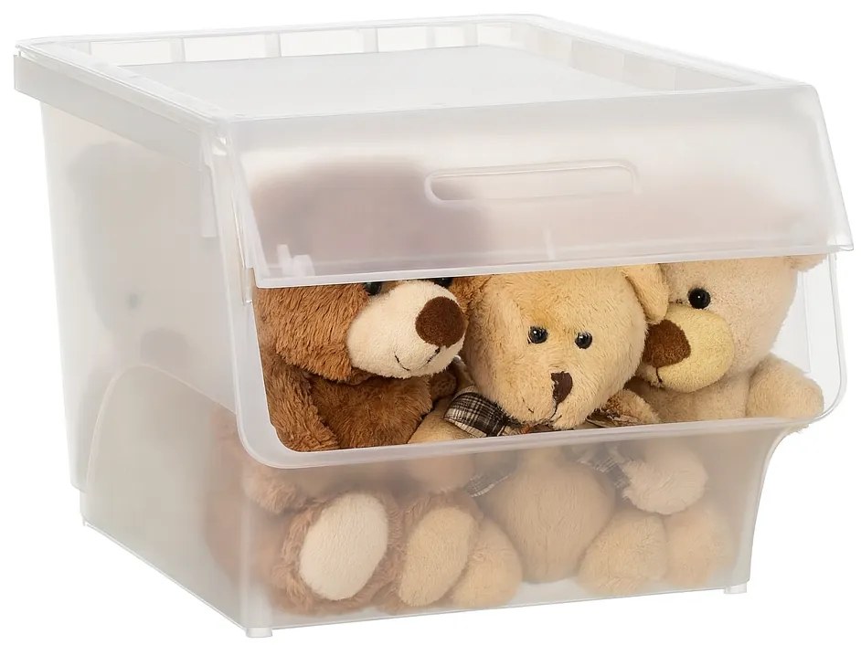 5Five® Úložný box ALL IN BOX s děleným víkem, 34l - 38 x 45,5 x 31 cm