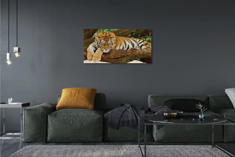 Obrazy na plátně tiger tree 120x60 cm