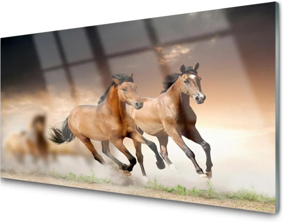 Obraz na skle Skleněný Koně Zvířata