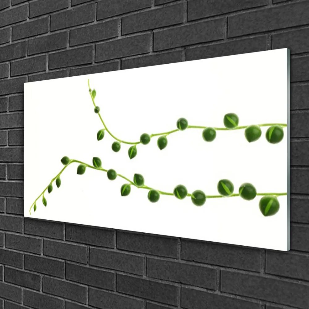 Obraz na skle Dekorativní Rostlina 100x50 cm