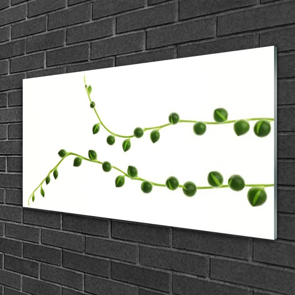 Obraz na skle Dekorativní Rostlina 120x60 cm