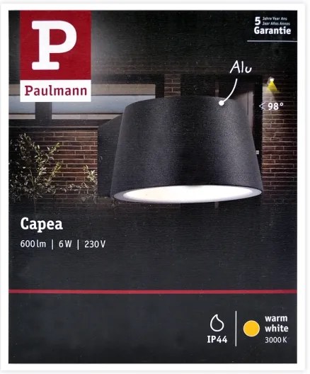 Paulmann 94452 - LED/6W IP44 Venkovní nástěnné svítidlo CAPEA 230V