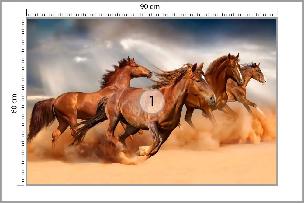 Fototapeta Koně Běžící V Poušti Omyvatelný vlies 416x254