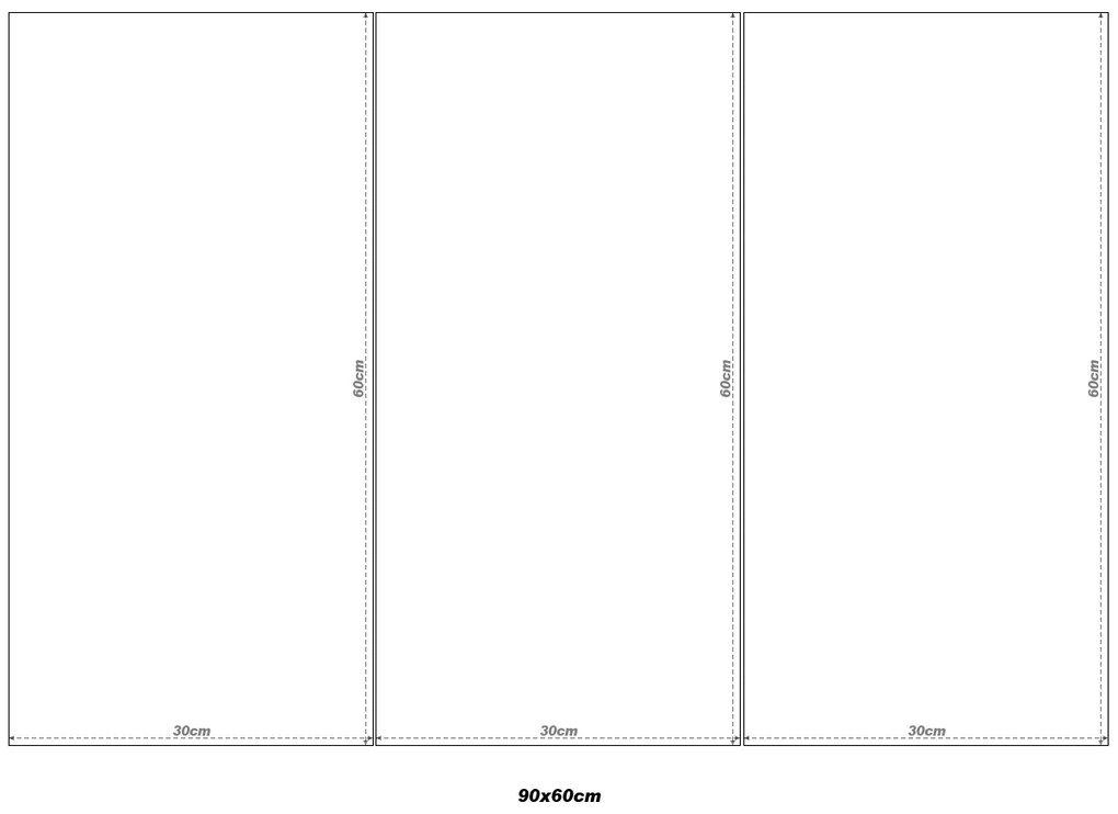 Gario 3 dílný fotoobraz na plátni Rozměry: 90 x 80 cm