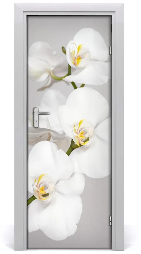 Fototapeta na dveře Bílá orchidej 75x205 cm