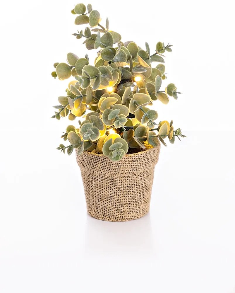 Weltbild LED umělý Eukalyptus v květináči