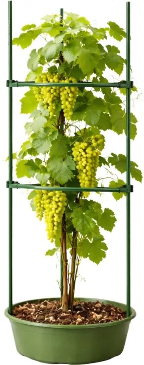Trojúhelníková opěrka pro rostliny, 90 cm, stabilní, do zahrady a na zahrádku, divodv