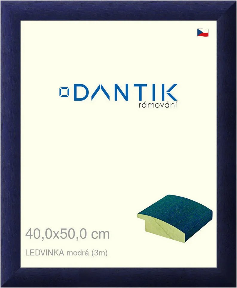 DANTIK rámeček 40x50 | LEDVINKA modrá (Sklo Čiré)