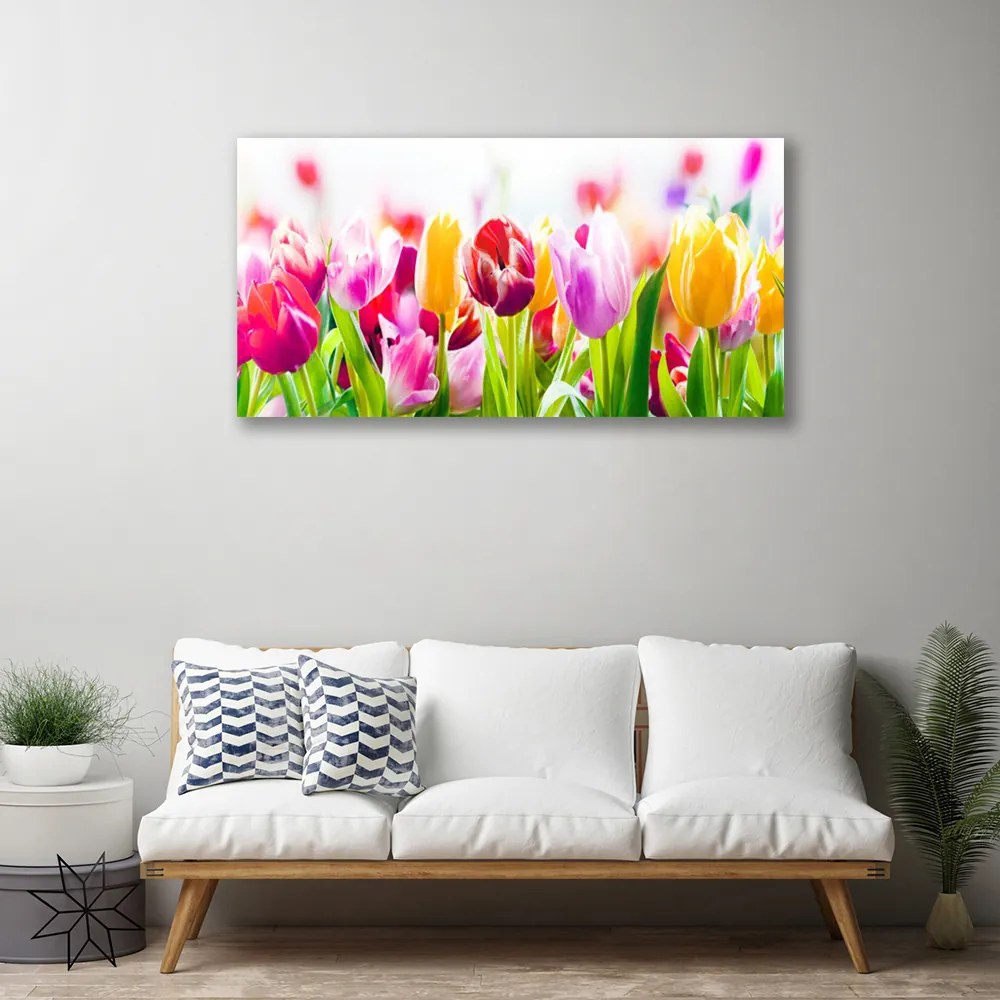 Obraz na plátně Tulipány Květiny 120x60 cm